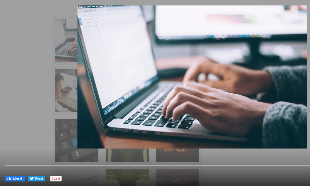 Best Responsive Gallery Plugin for WordPress — BestWebSoft